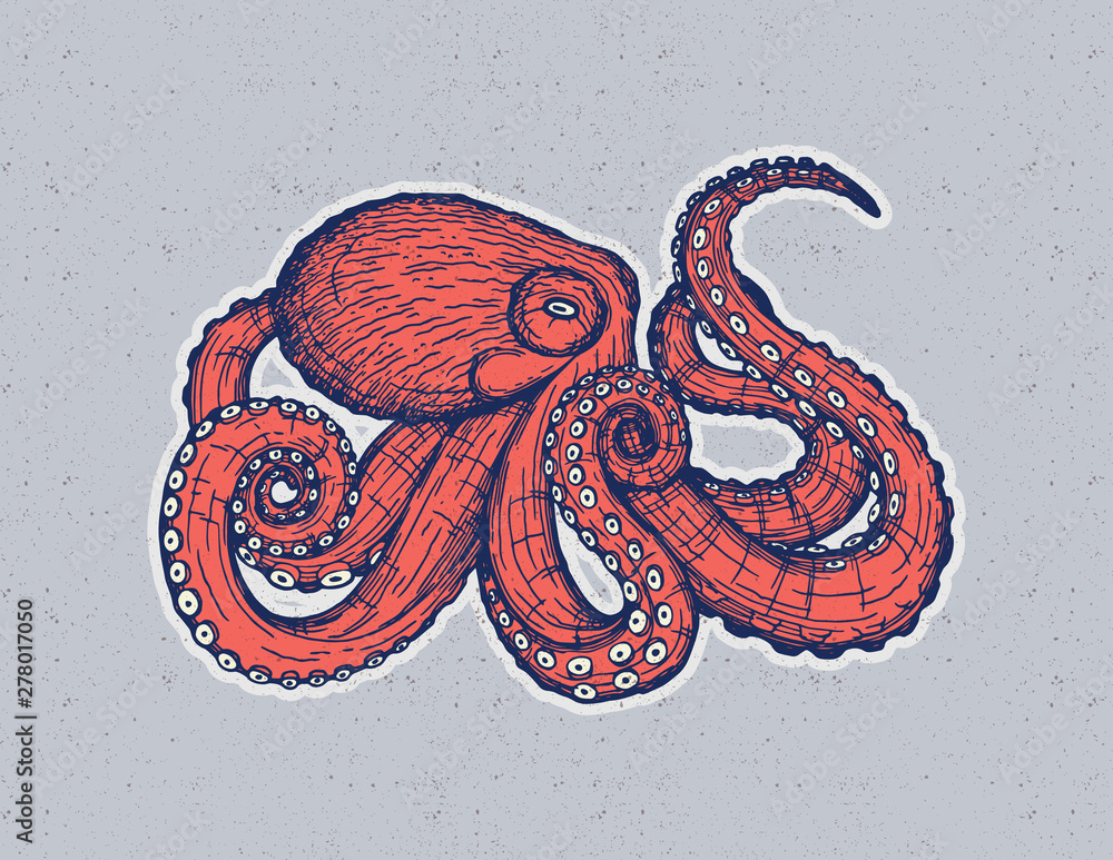 Vector hand drawing design with an octopus isolated from background ...
