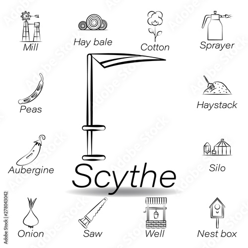 Diagramme De La Scyphe