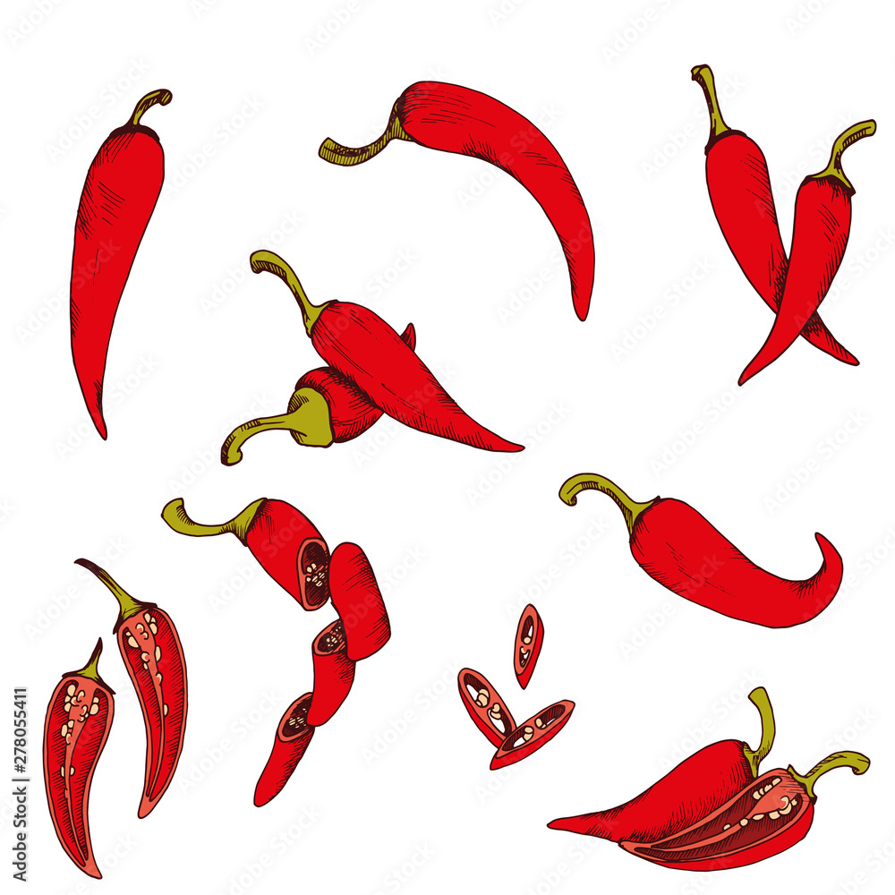 Vector clip art set of chili peppers. isolated Red vegetables on white ...