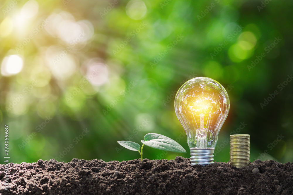 Light bulb with coins beside and young plant on top concept put on the ...