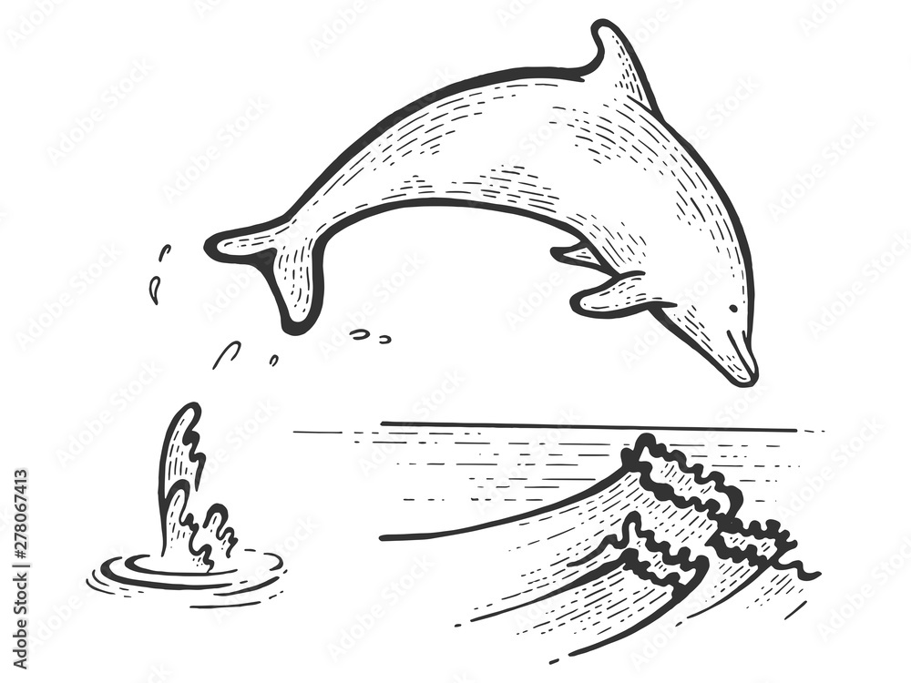 Dolphin Jumping Drawing