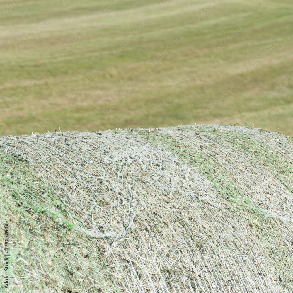 Focusing on the parts of a round hay bale, compressed and bounded by a ...