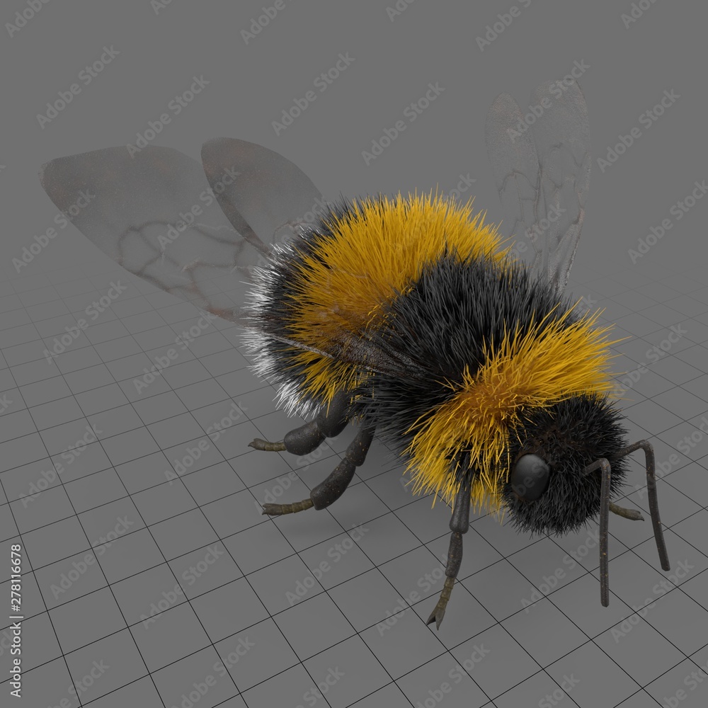 Bumblebee Stock 3D asset | Adobe Stock
