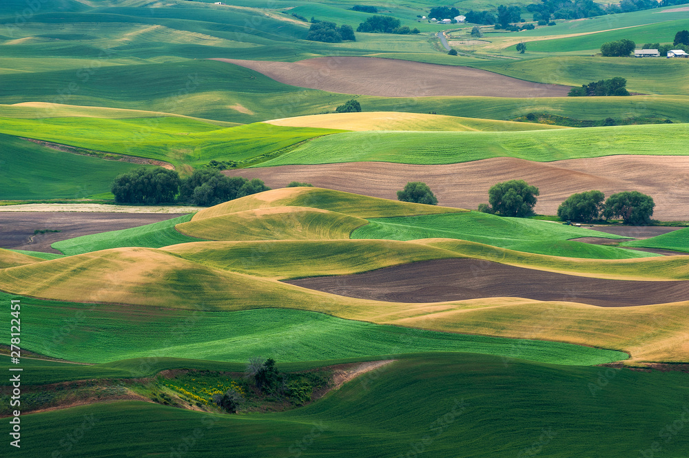 Fotografia do Stock: Beautiful Farmland Patterns Seen From Steptoe ...