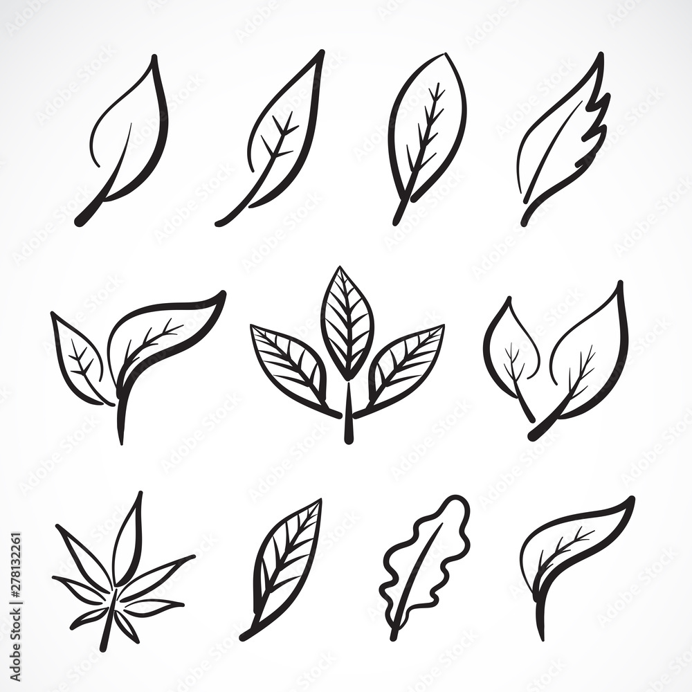 Vector of hand drawn leaves isolated on white background. group leaves ...