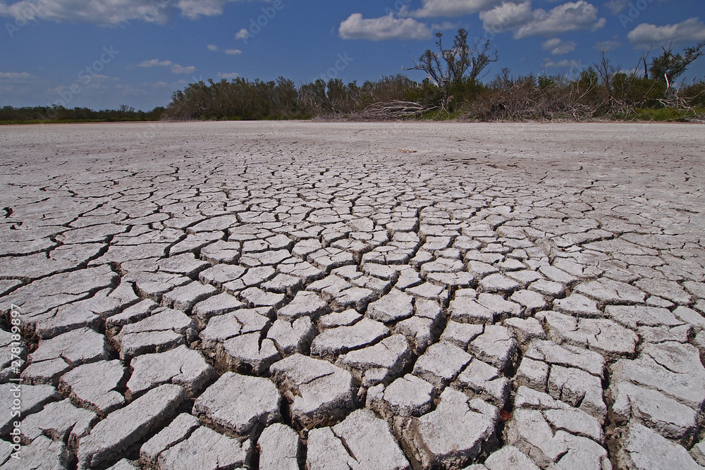 Eco Pond in Everglades National Park, Florida, in extreme drought ...