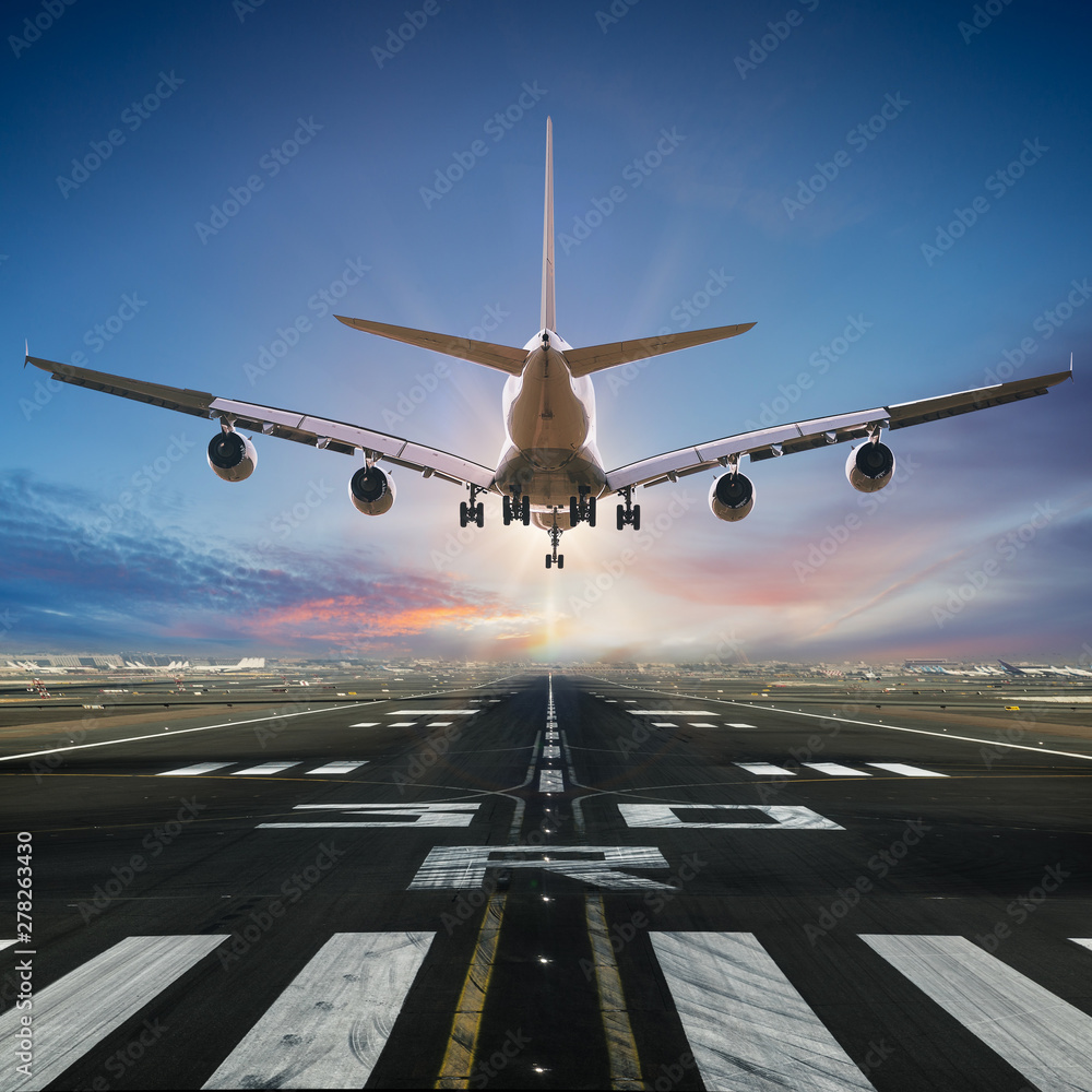 Airplane landing at the airport, back view. wall mural wallpaper ...