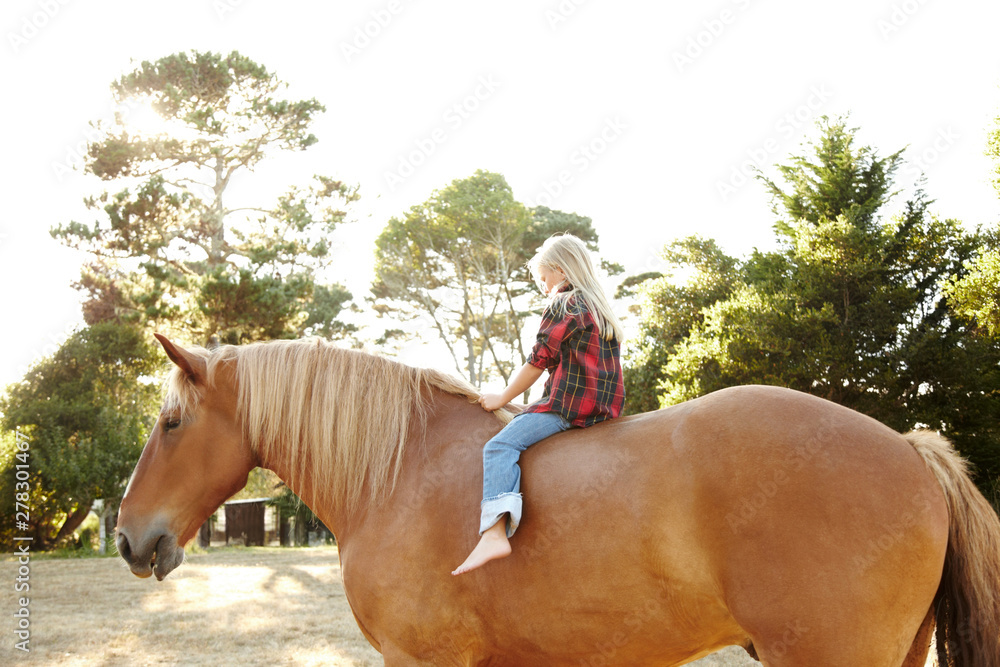 Little girl riding horse in nature Stock Photo | Adobe Stock