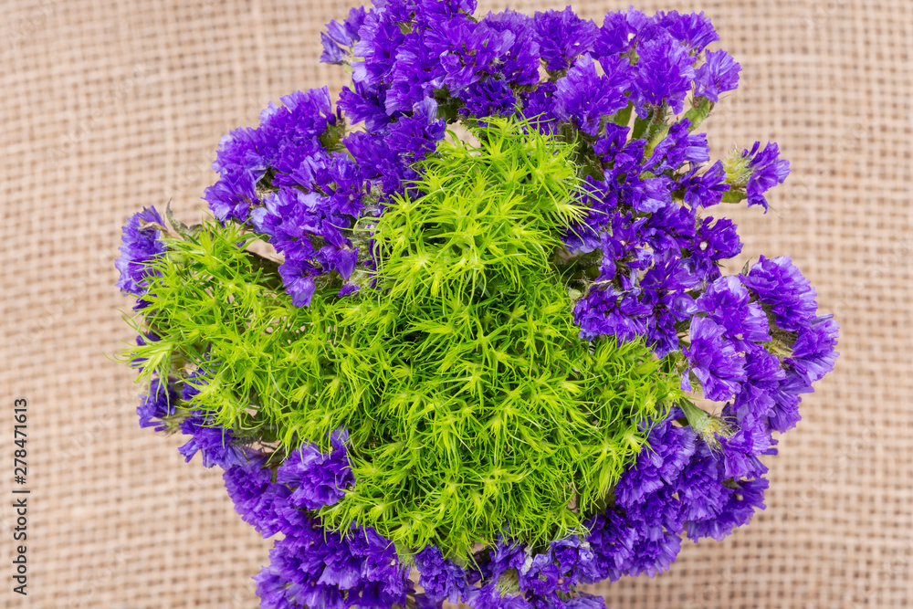 Green Limonium