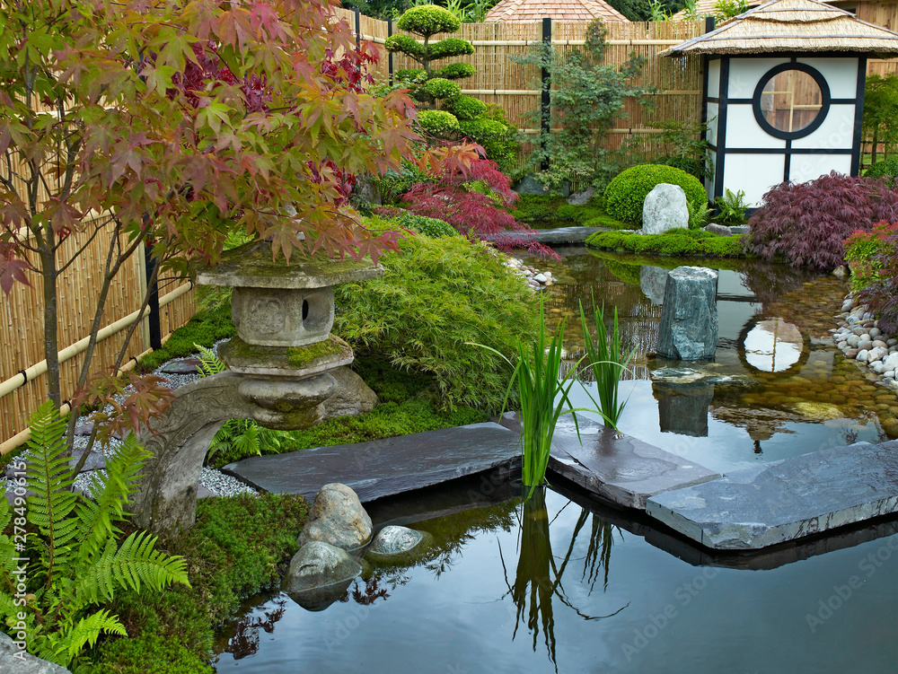 Backyard Japanese Water Garden