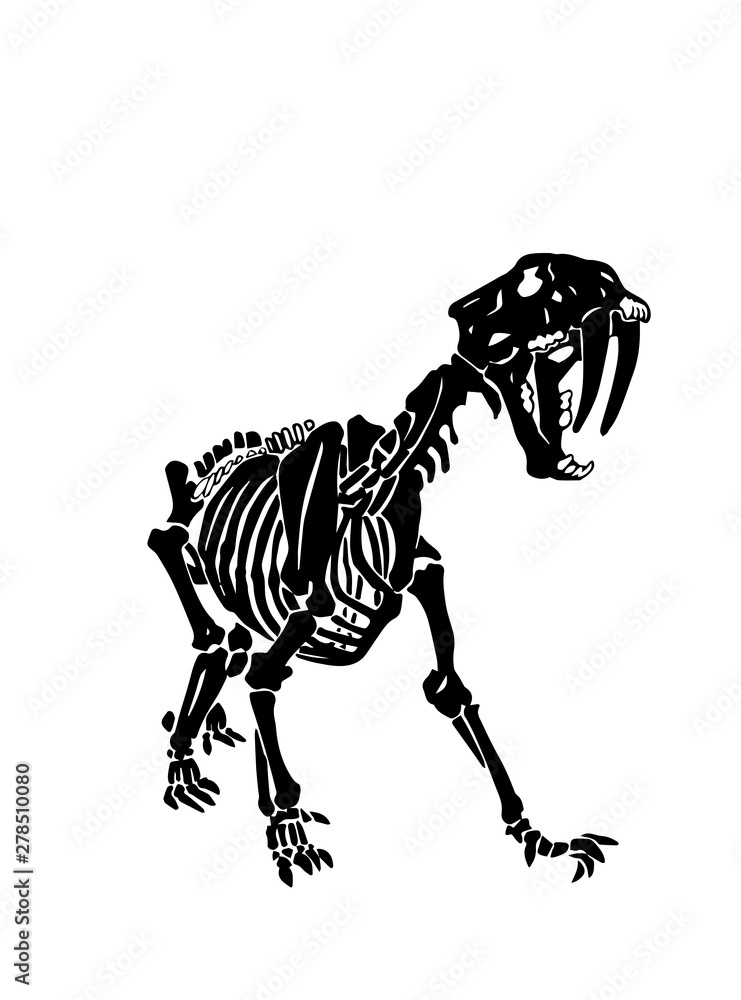 Graphical skeleton of saber-toothed tiger on white background ...