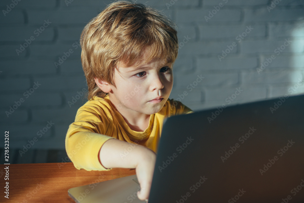 Child using laptop. Danger of internet. Smart Young Boy Works on a ...