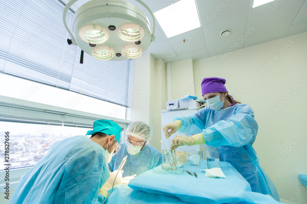 Baldness treatment. Hair transplant. Surgeons in the operating room ...