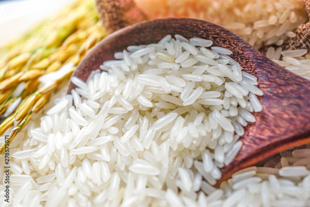 Jasmine white rice with gold grain from agriculture farm. Stock Photo ...
