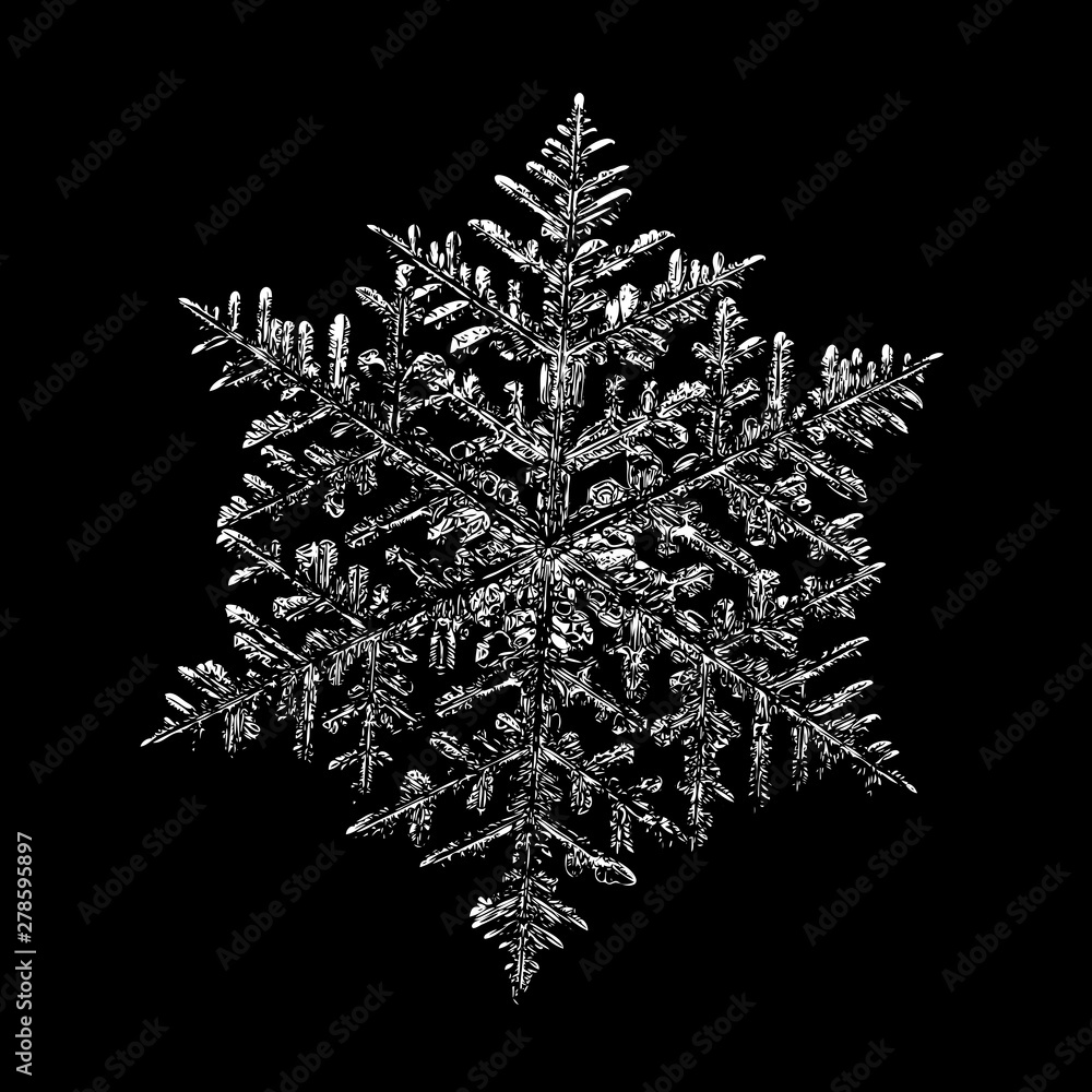 Snowflake isolated on black background. Illustration based on macro ...