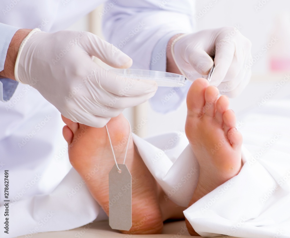 Police coroner examining dead body corpse in morgue Stock Photo | Adobe ...