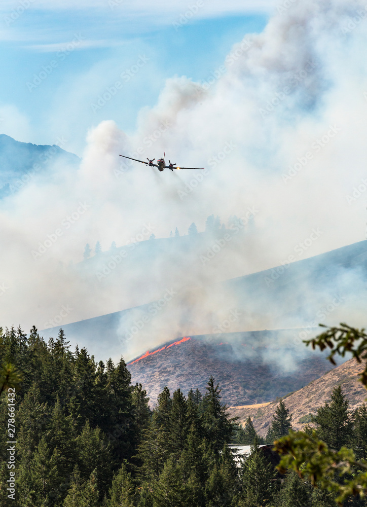 Airplane aircraft air tanker plane battling fighting wildland forest ...