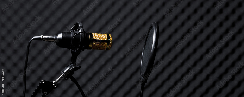 Microphone Condenser, gold mic with filter hang over sound absorbing ...