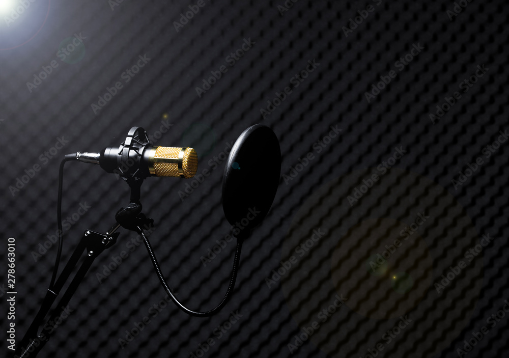 Microphone Condenser, gold mic with filter hang over sound absorbing ...