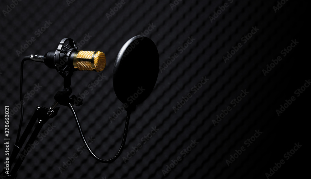 Microphone Condenser, gold mic with filter hang over sound absorbing ...