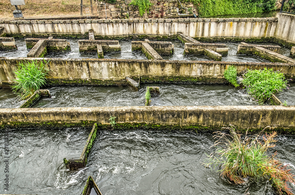Foto de Concrete fish ladder in the river Roer in Roermond, The ...