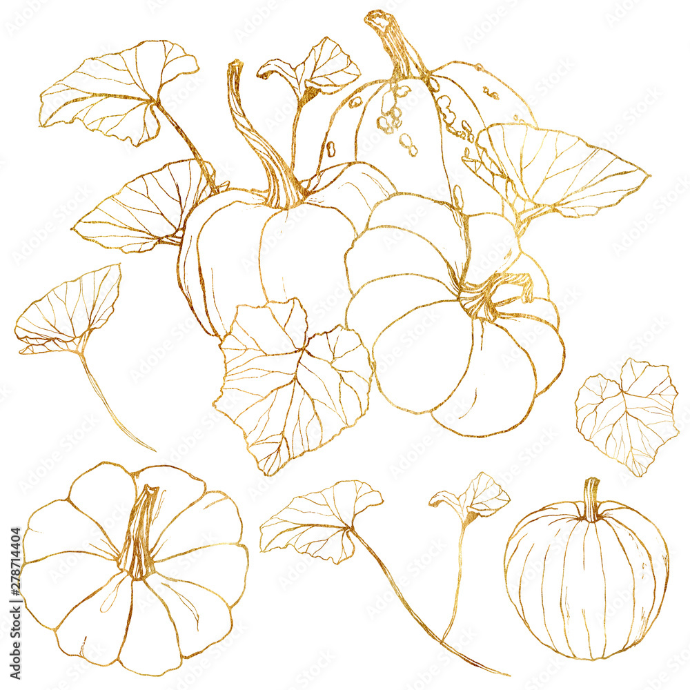 Line art golden set for festival. Hand painted traditional pumpkins ...