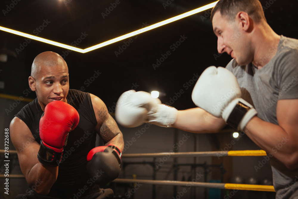 Two men boxing at the gym. Young muscular African boxing fighter ...