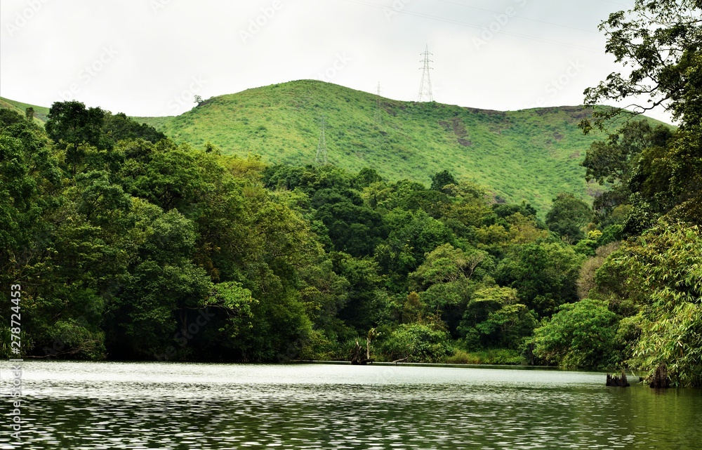 Wlderness, Forest Scene from Kochu Pamba Dam Reservoir, Gavi, a remote ...