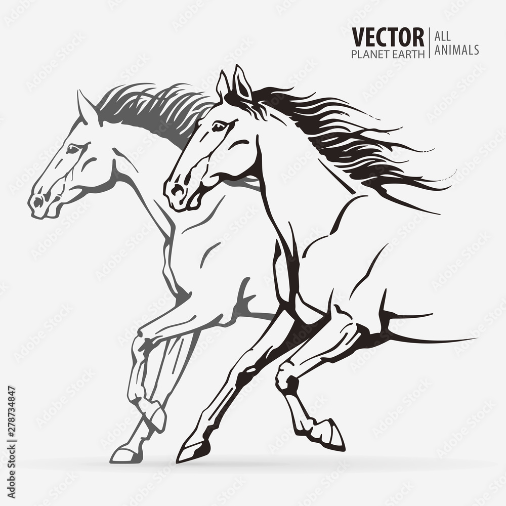 Horse Running Vector