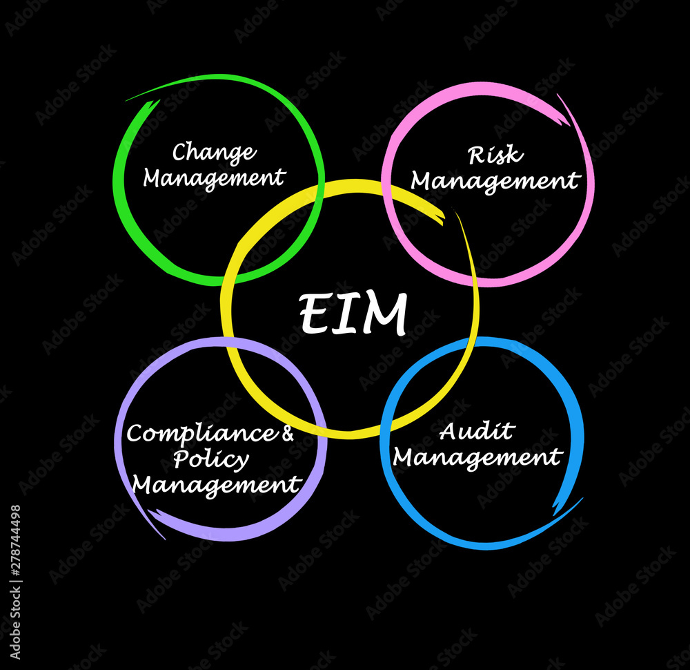 Four components of EIM Audit Stock Illustration | Adobe Stock