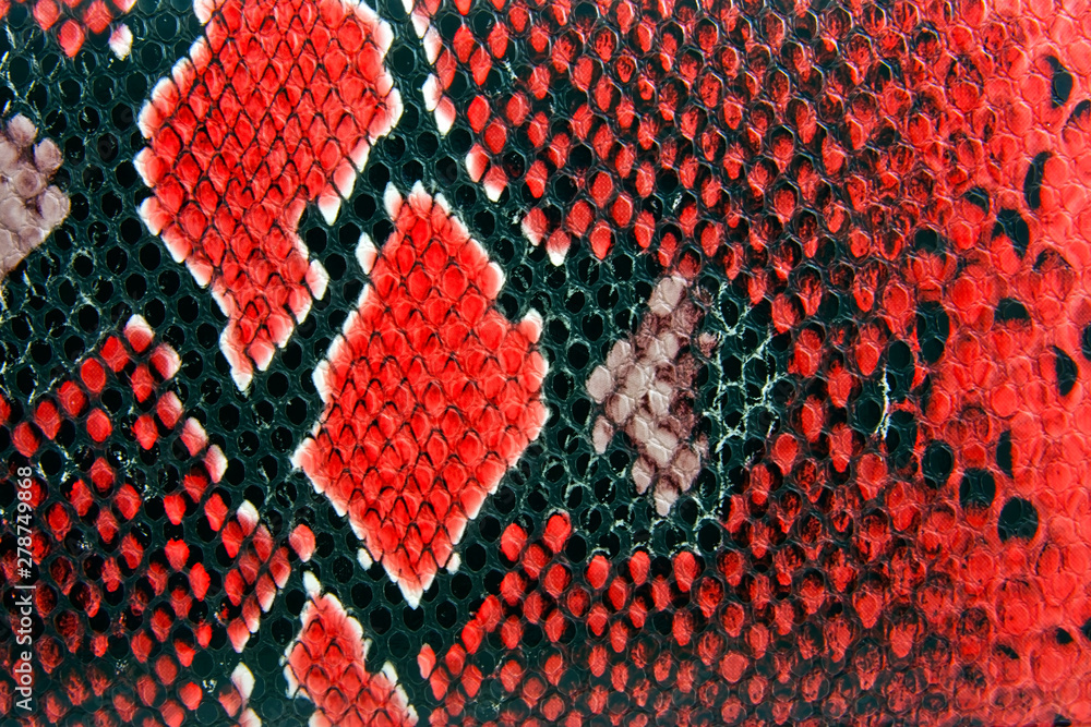 snake skin background Stock Photo | Adobe Stock