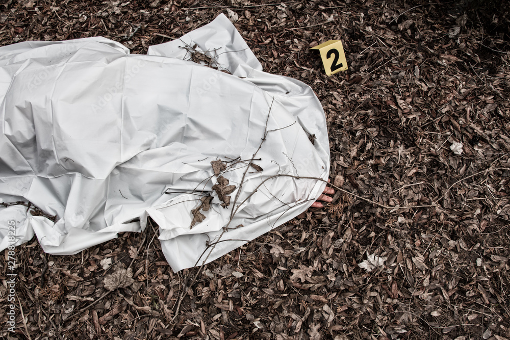 Victim of a violent crime under a sheet with fingers sticking out in a ...