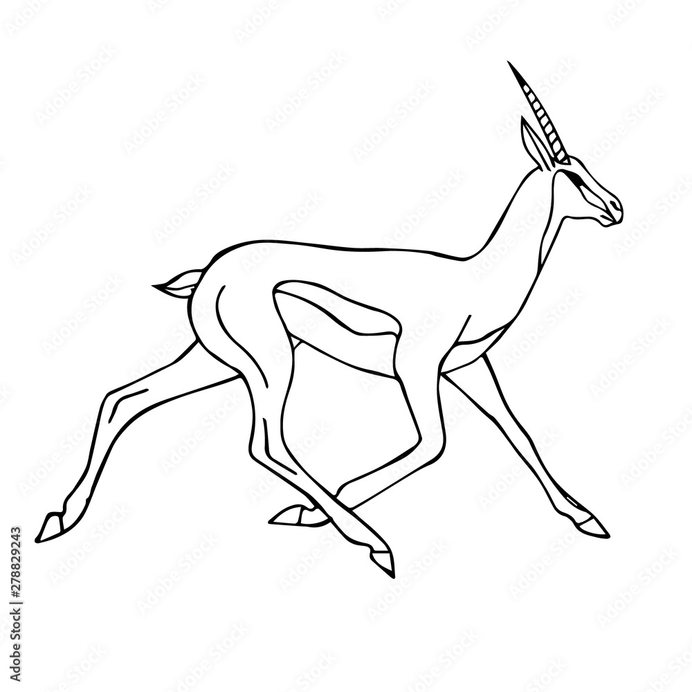 Vector black outline hand drawn sketch doodle african antelope isolated ...
