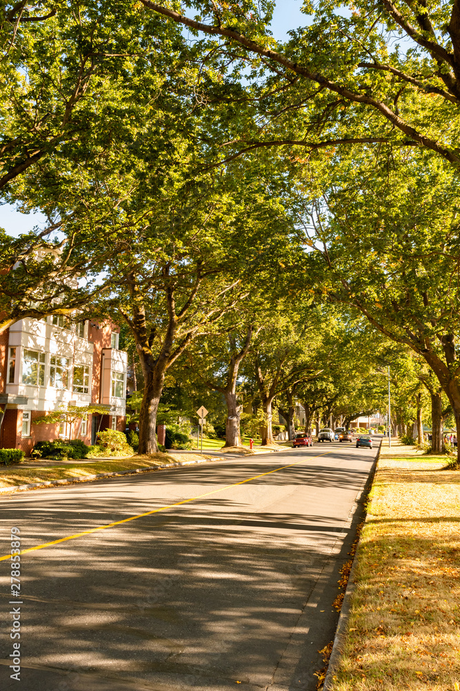 Cars/vehicles parked and driving on suburb neighborhood street avenue ...