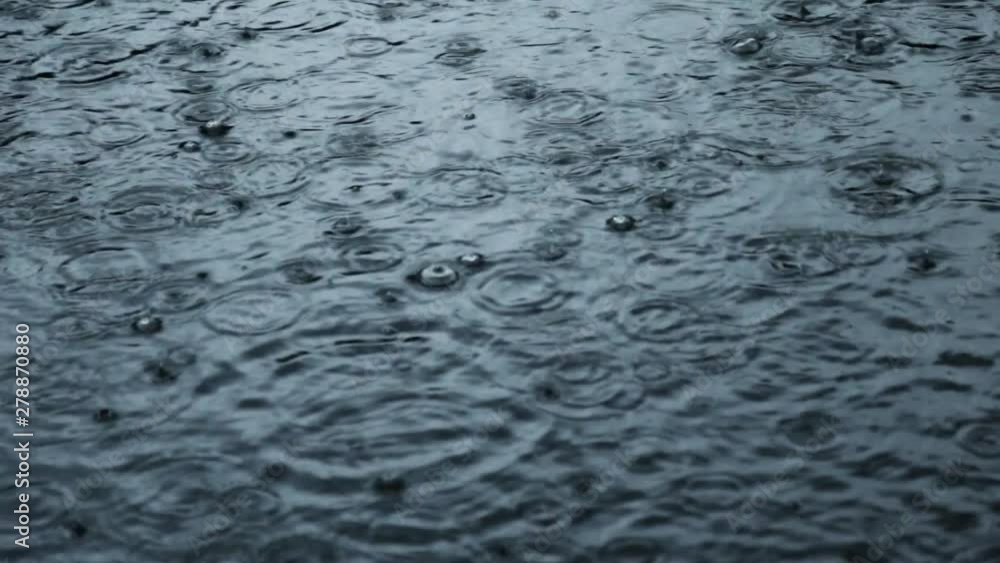 Rain drops fall on water surface of pond, lake or river forming a ...