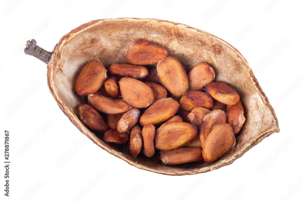 dried cacao pod half with cacao beans isoalted on white. top view Stock ...