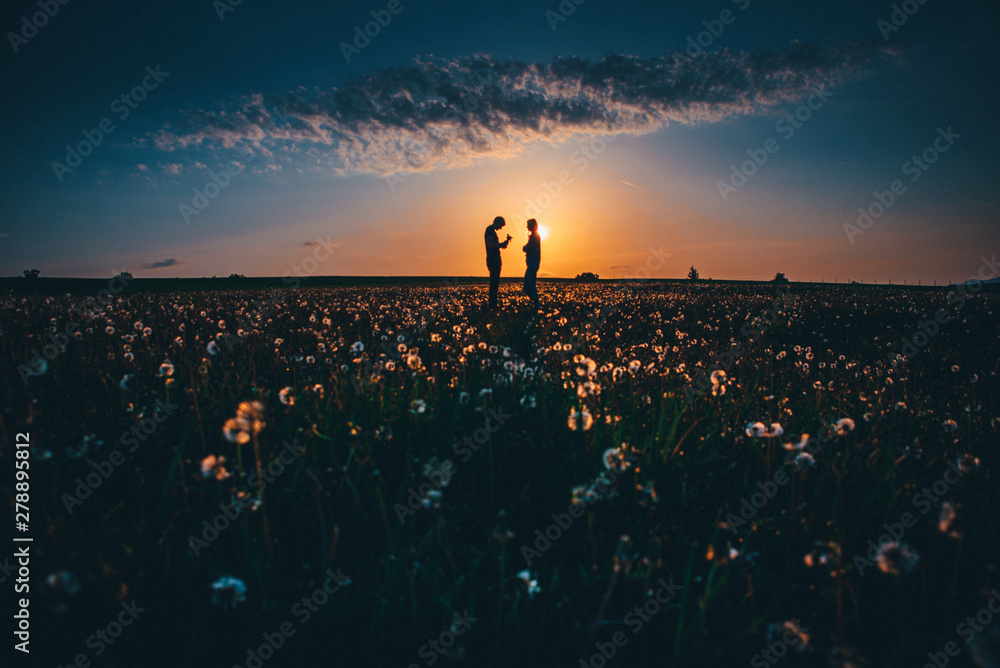 Beautiful Edited Photography