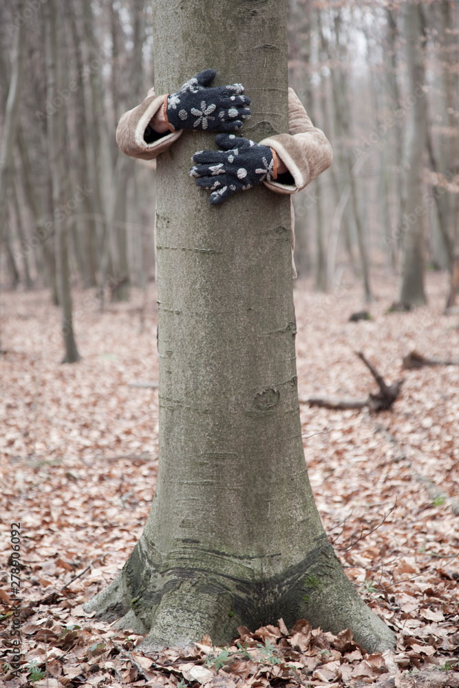 Baum umarmen mit Handschuhen Stock-Foto | Adobe Stock
