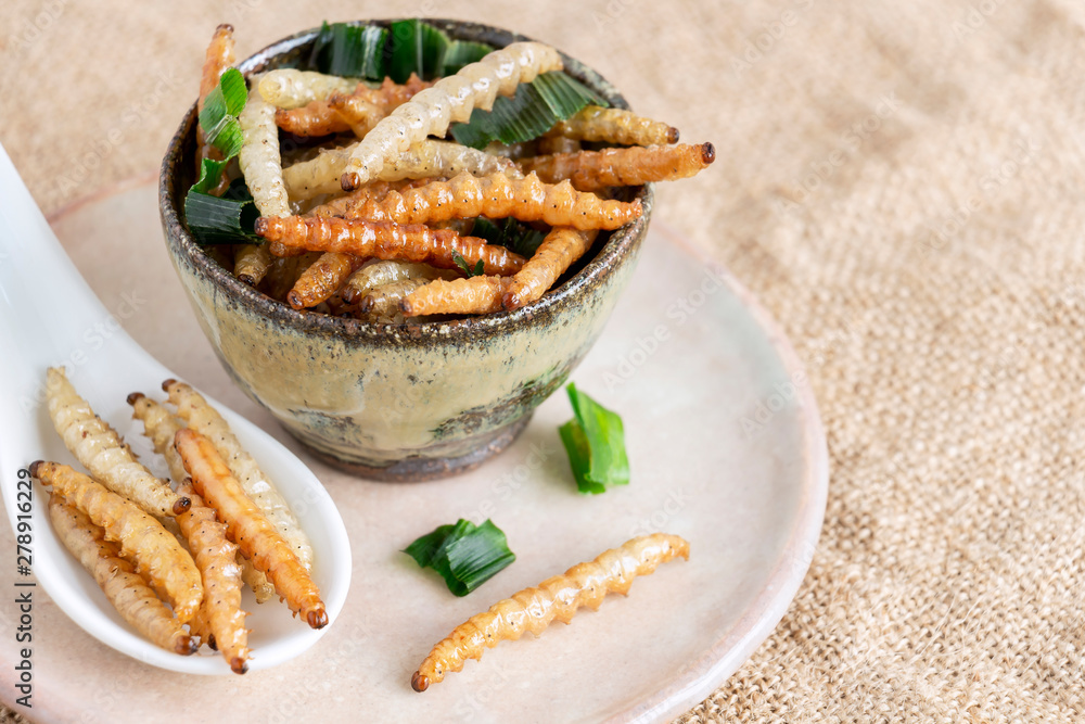 Food Insects: Bamboo worm (Bamboo Caterpillar) insect fried crispy for ...