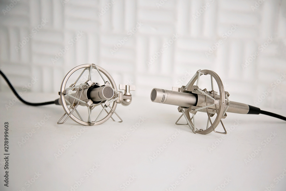 Small Diaphragm Condenser Microphone Stock Photo | Adobe Stock