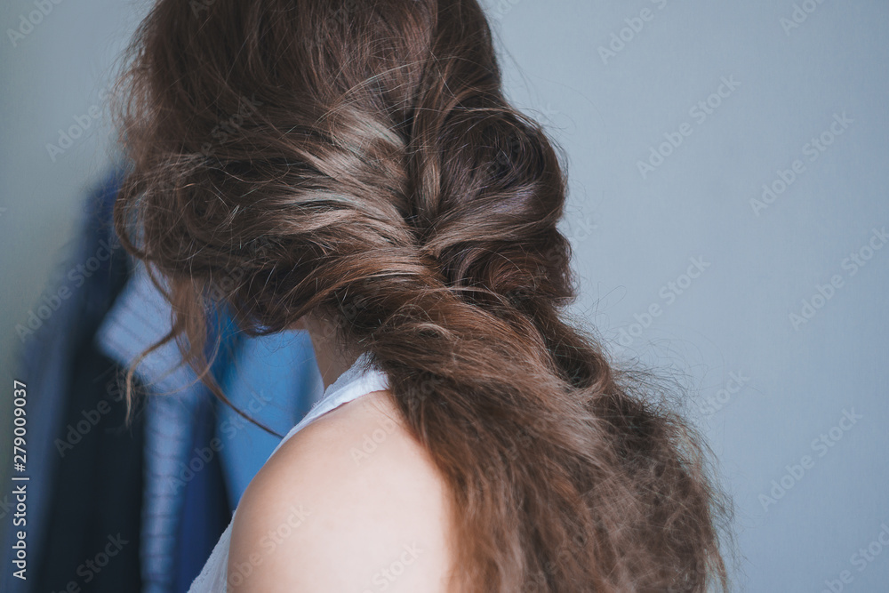Braided Hair Back View