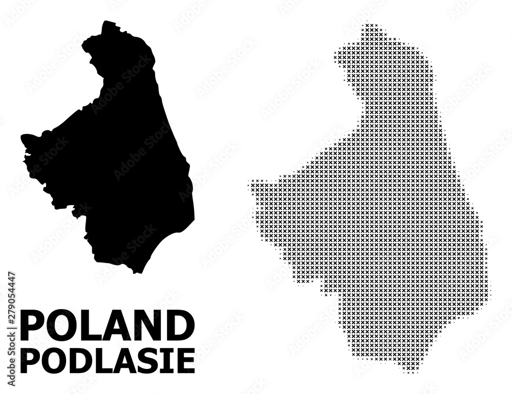 Vector Halftone Pattern and Solid Map of Podlasie Province Stock Vector ...