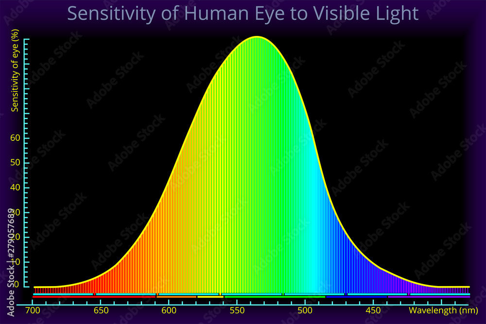Sensitivity of Human Eye to Visible Light Stock Vector | Adobe Stock