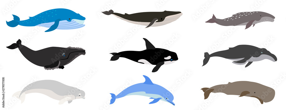 Whale icons set. Flat set of whale vector icons for web design Stock ...