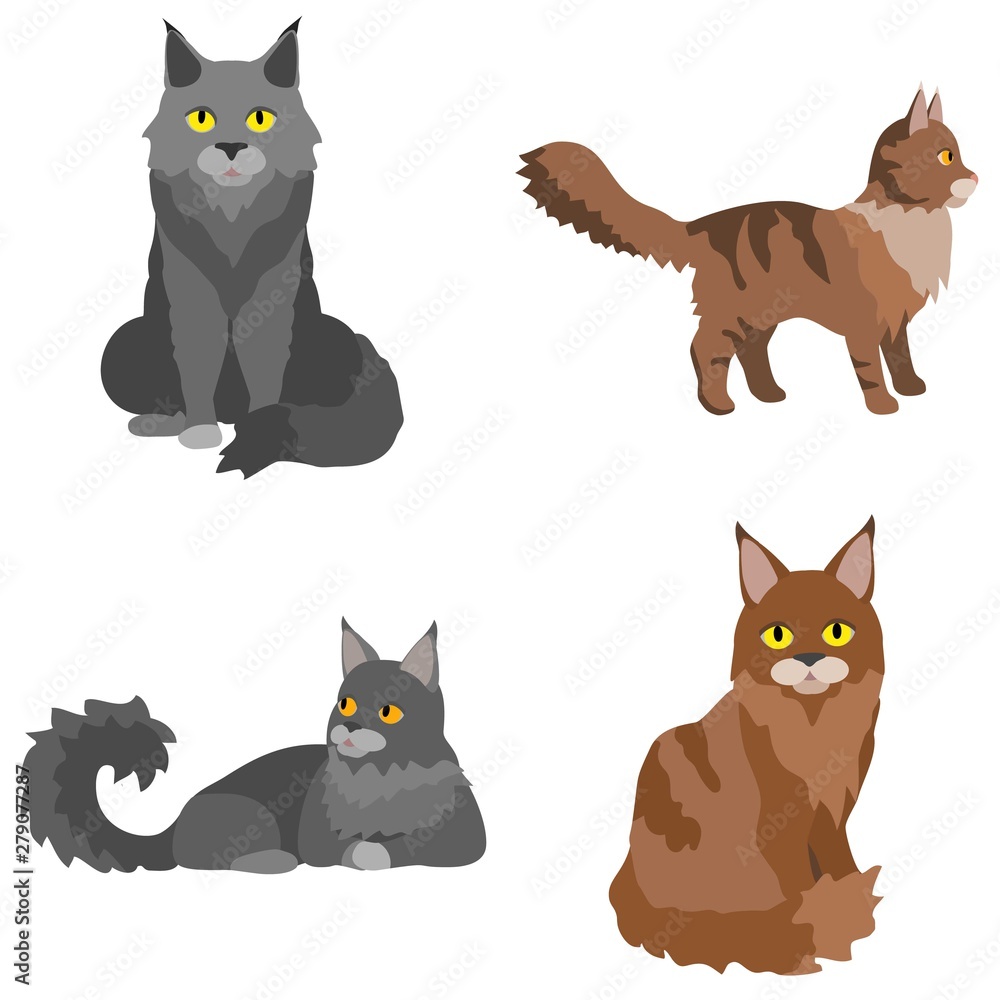 Maine coon icons set. Flat set of maine coon vector icons for web ...