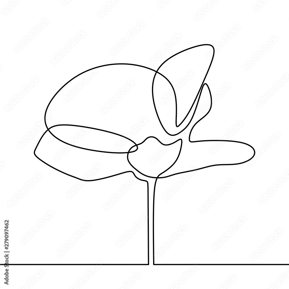 Poppy flower one line drawing continuous minimalist design isolated on ...