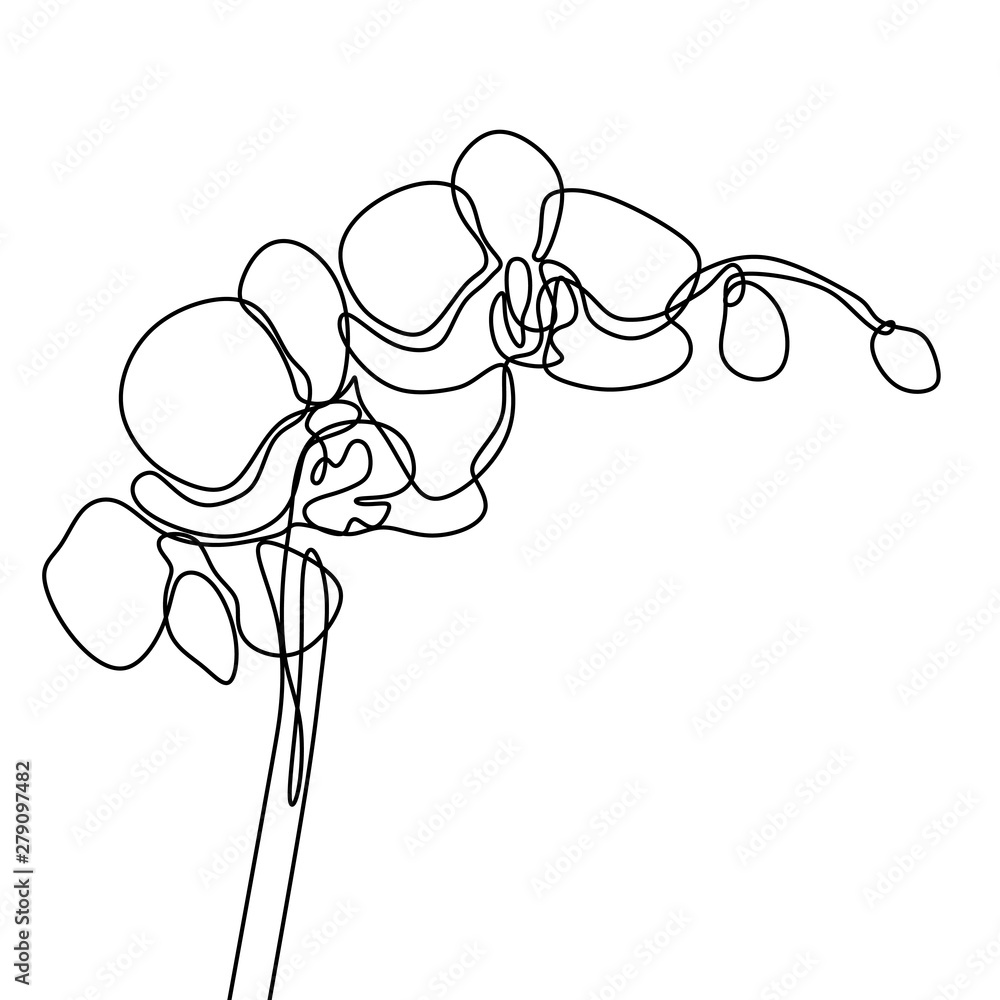Hand drawn orchid flower. One line drawing continuous illustration ...