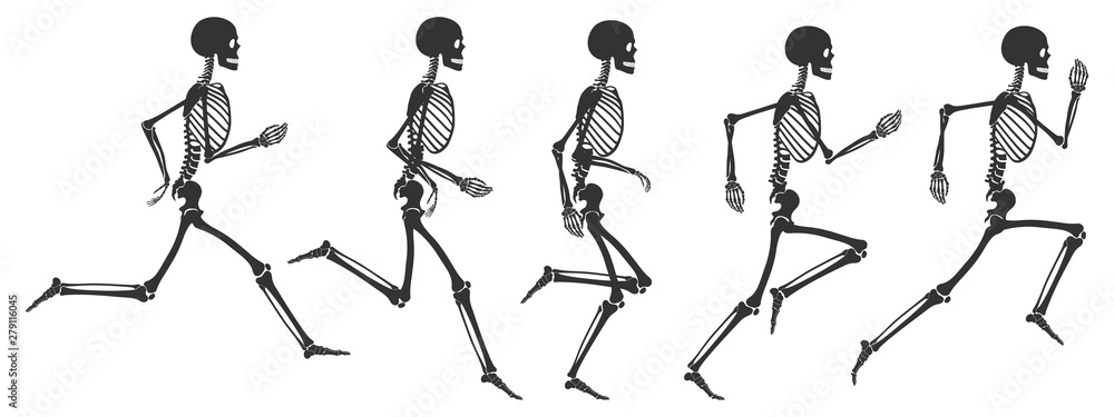 Five phases of running human skeleton. Black skeleton silhouettes ...