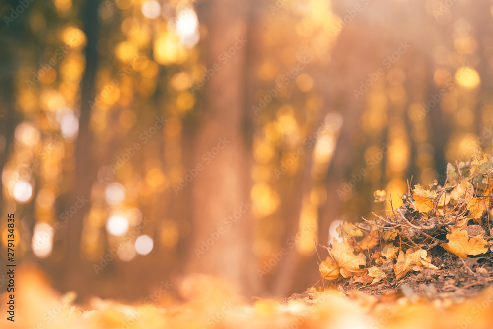 Faded Fall Background