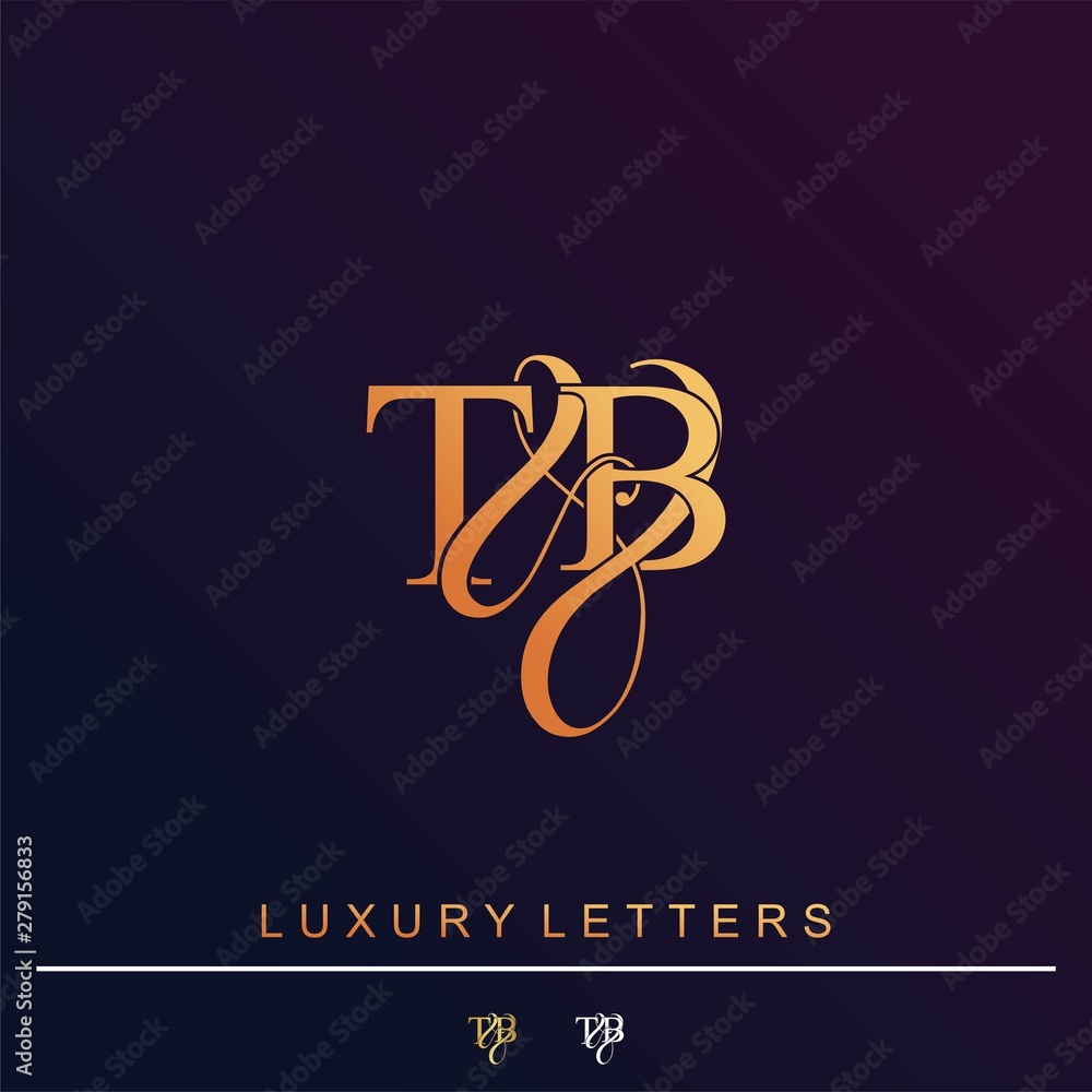 T & B TB logo initial vector mark. Initial letter T & B TB luxury art ...